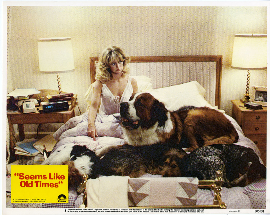 Picture of Seems Like Old Times (1980)