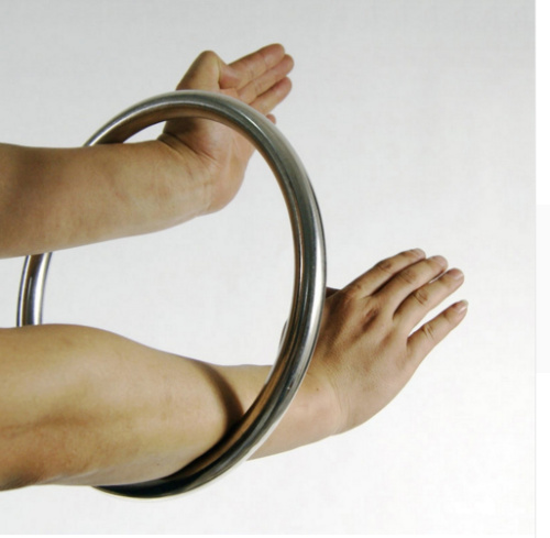 Steel Wing Chun Training Ring