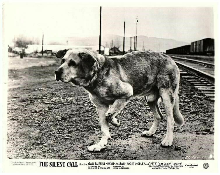 Picture of The Silent Call