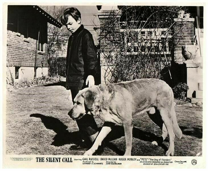 Picture of The Silent Call