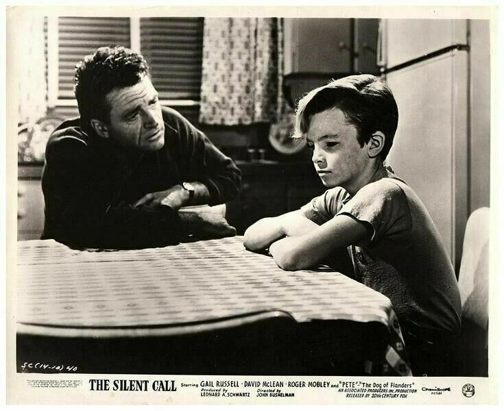 Picture of The Silent Call