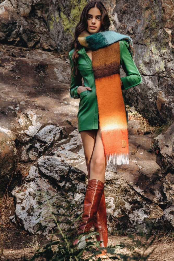 Picture of Shima Jafari
