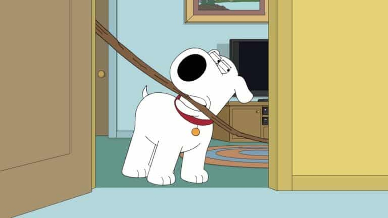 Picture of Family Guy