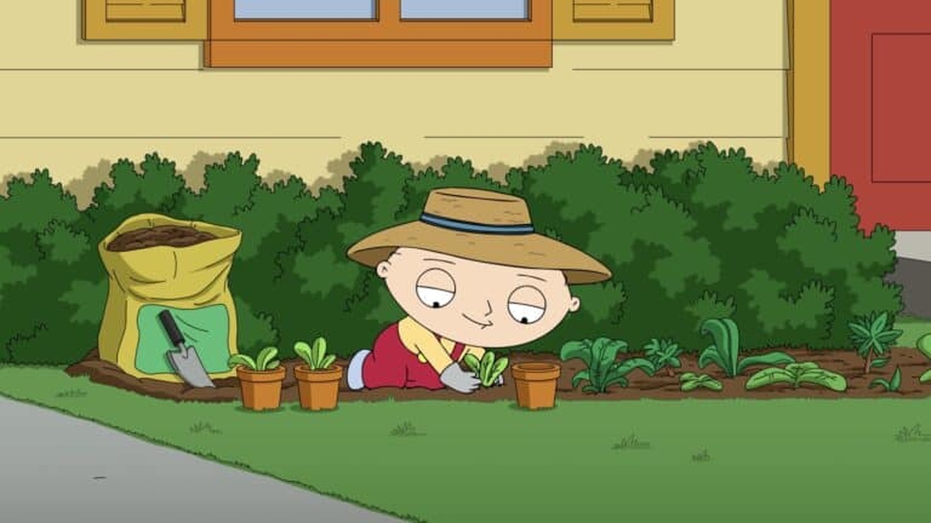 Image of Family Guy