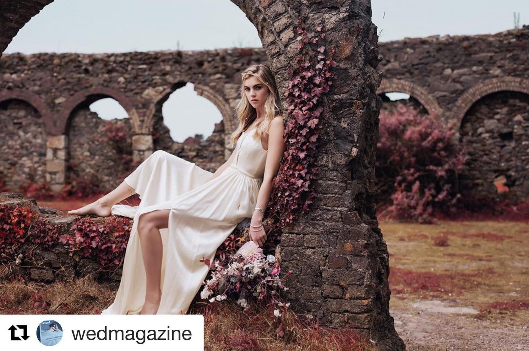 Picture of Elizabeth Bennett (i)