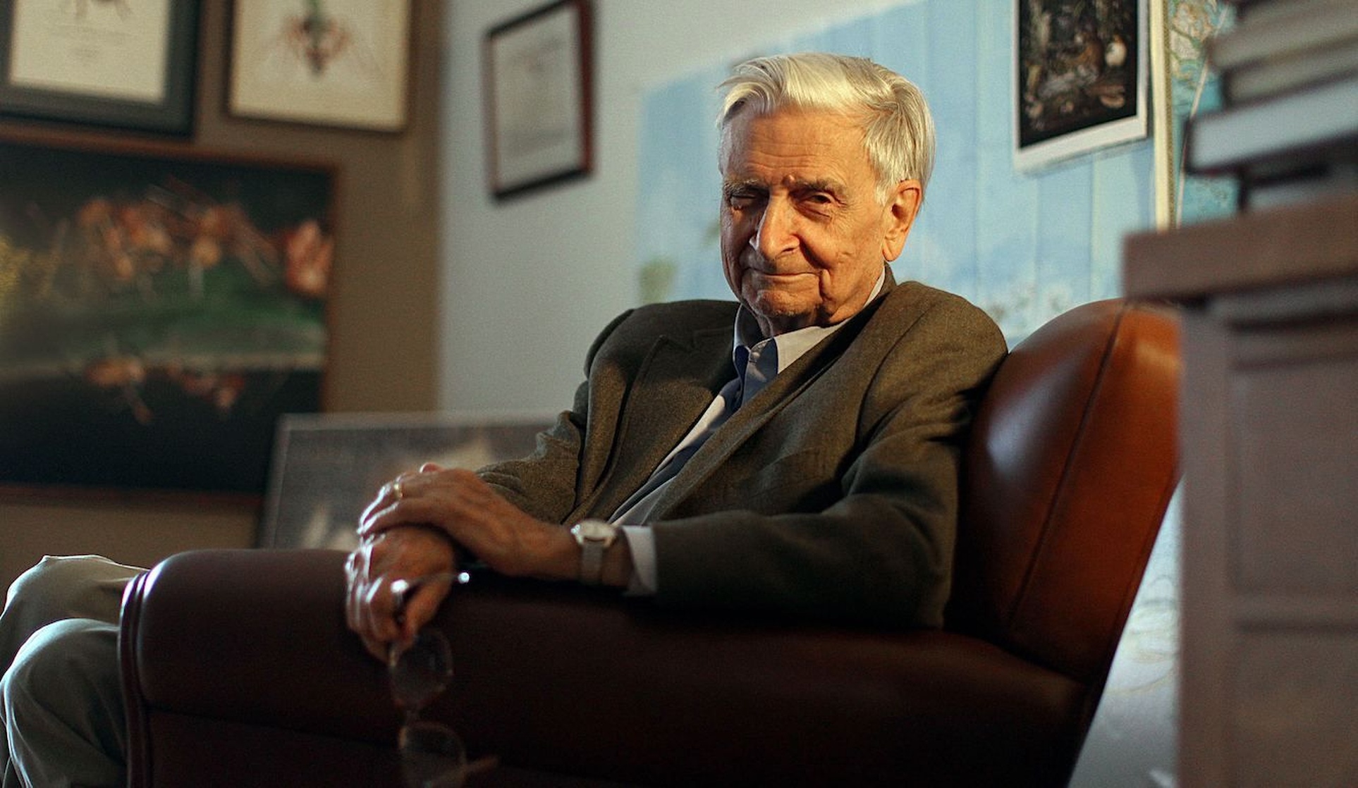 Picture of Edward O. Wilson