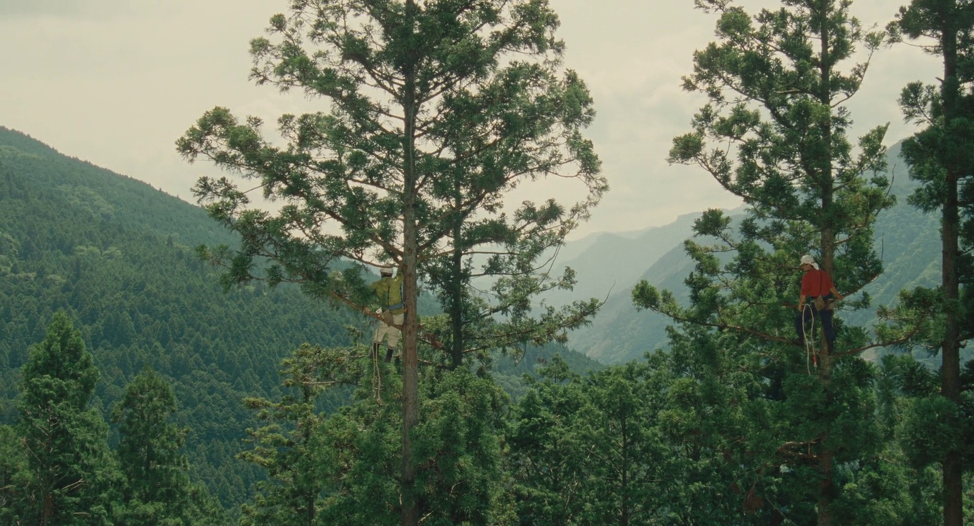 Picture of Wood Job!