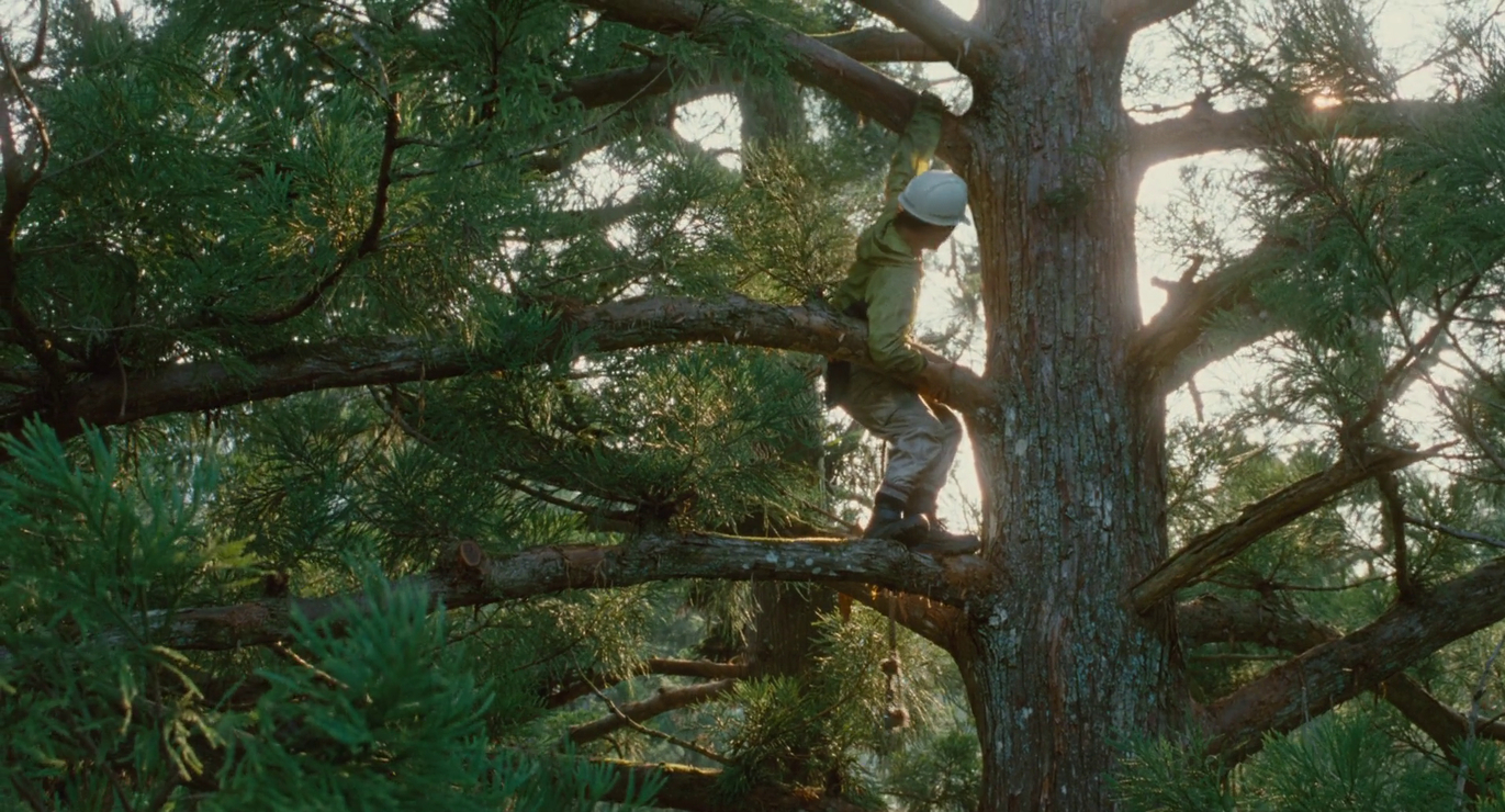 Picture of Wood Job!