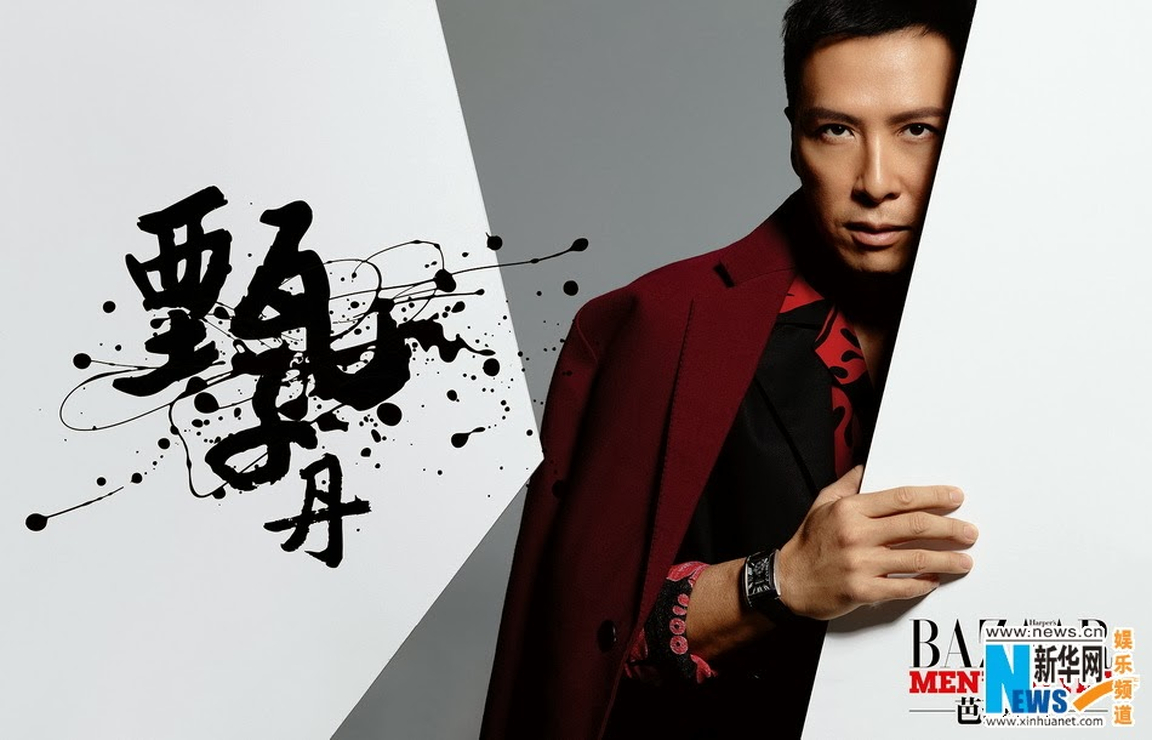 Picture of Donnie Yen