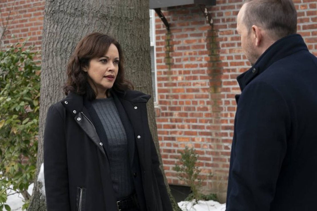 Picture of Blue Bloods