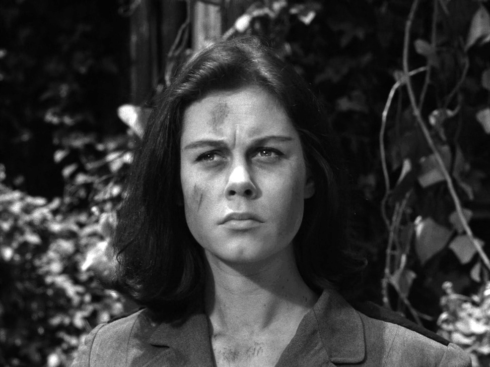 Picture of Elizabeth Montgomery