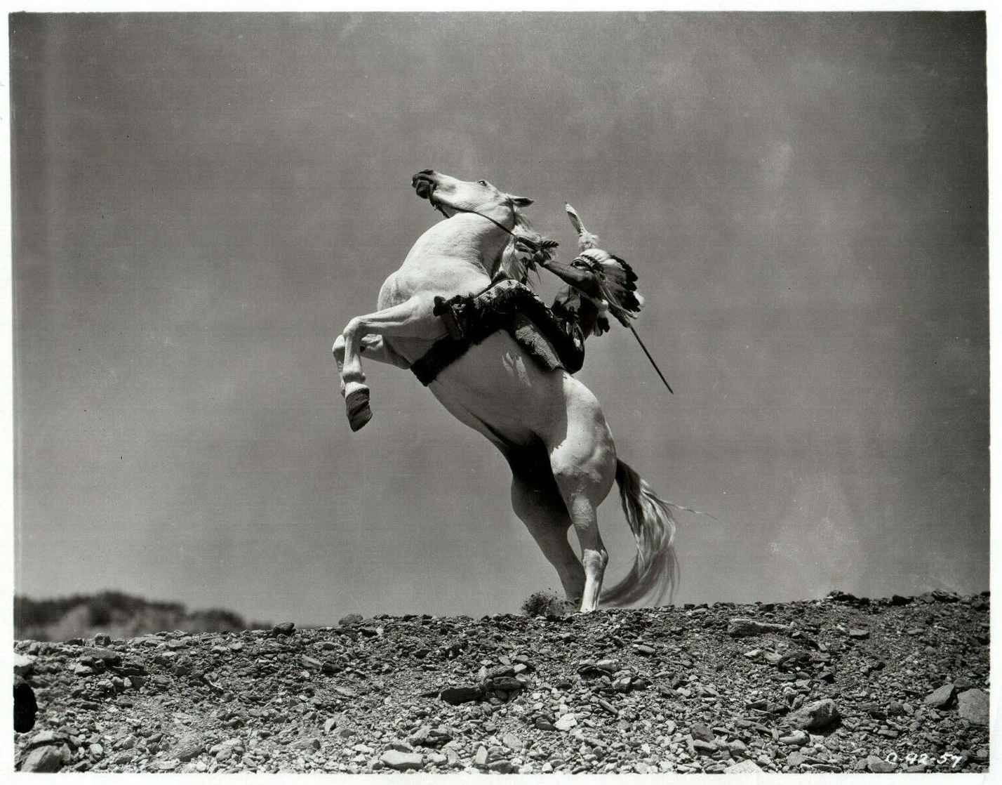 Picture of White Eagle