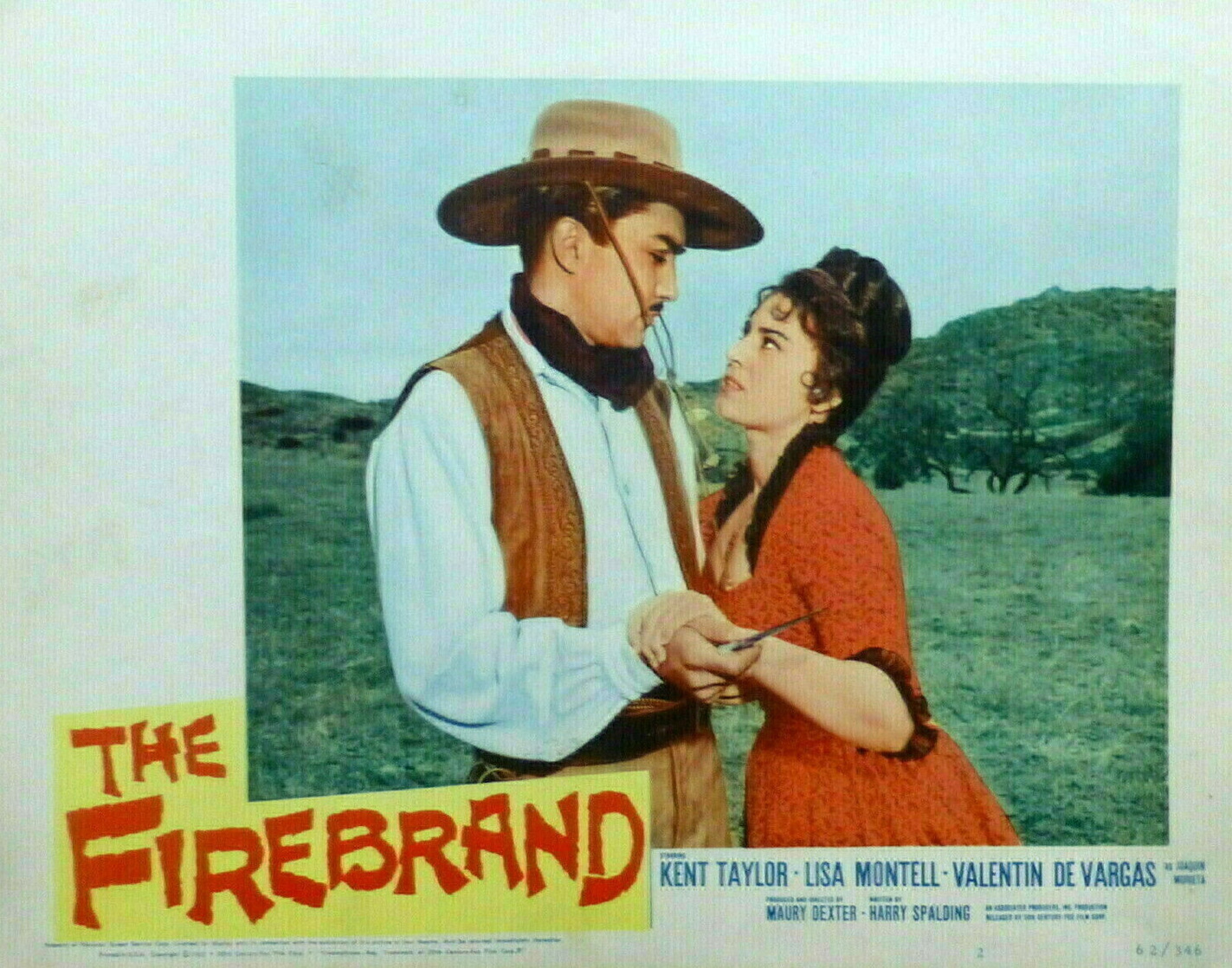 Picture of The Firebrand