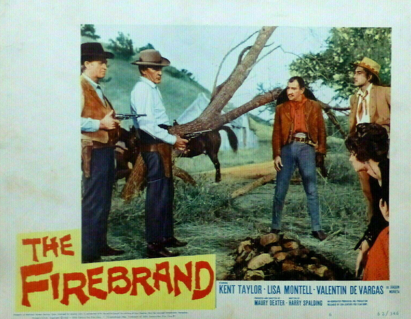 Picture of The Firebrand