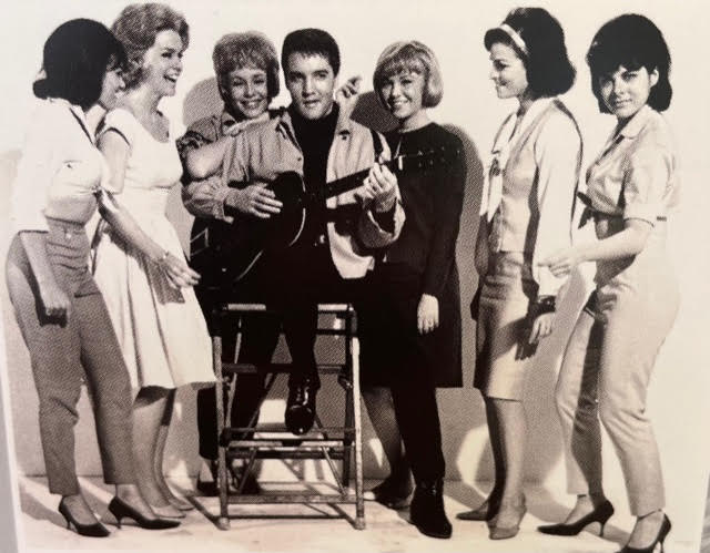 Picture of Roustabout