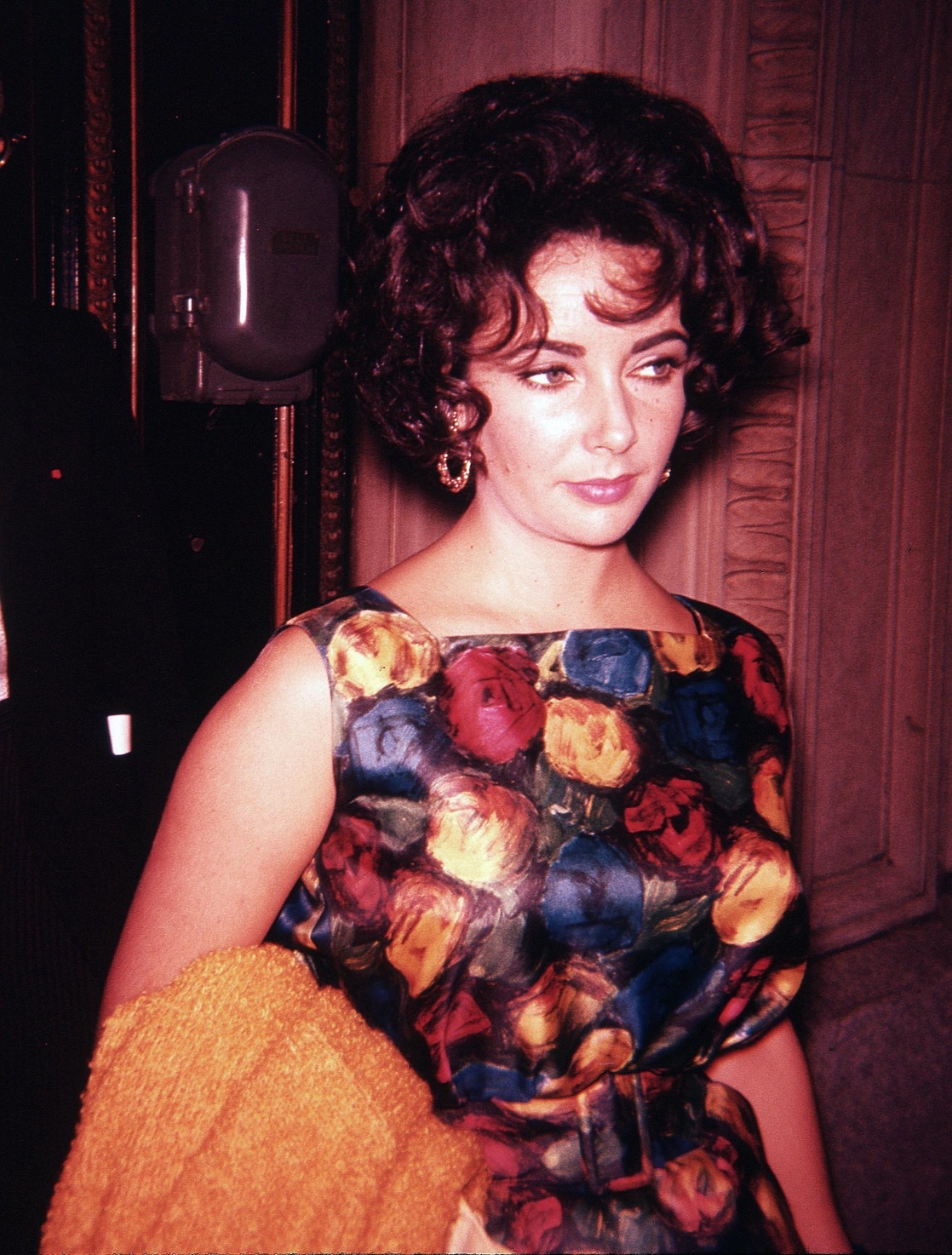 Picture of Elizabeth Taylor