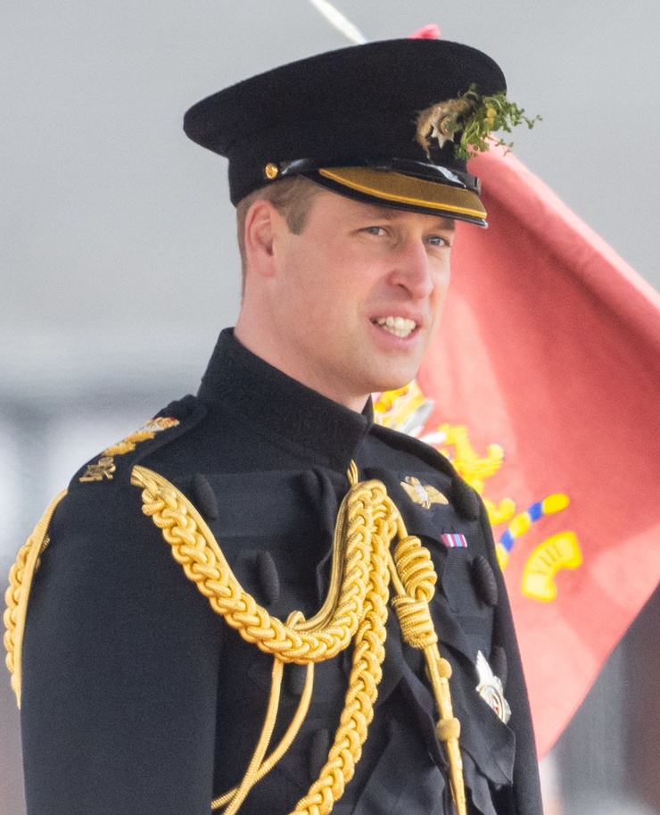Prince William Windsor picture
