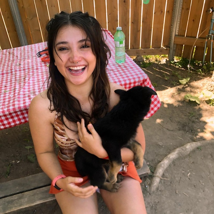 Picture of Amanda Arcuri