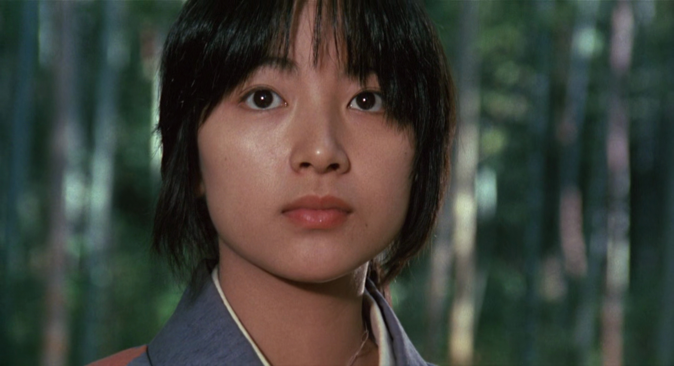 Picture of Ninja Wars