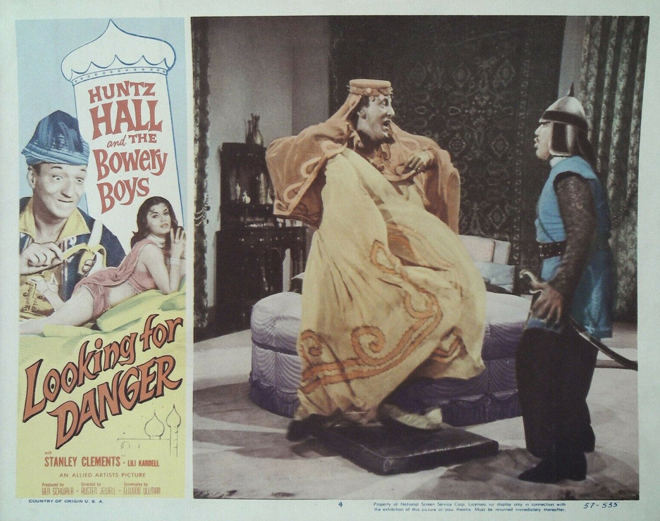 Picture of Looking for Danger