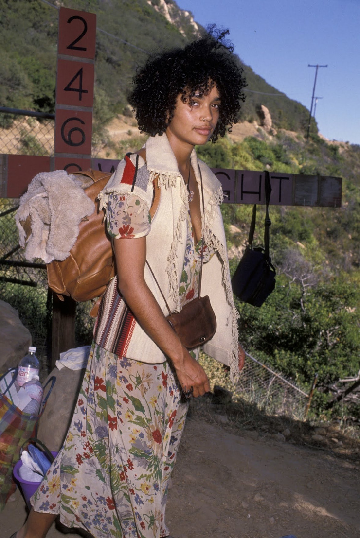 Picture of Lisa Bonet