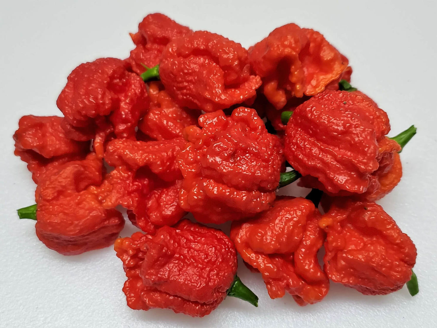 Dragon's Breath pepper