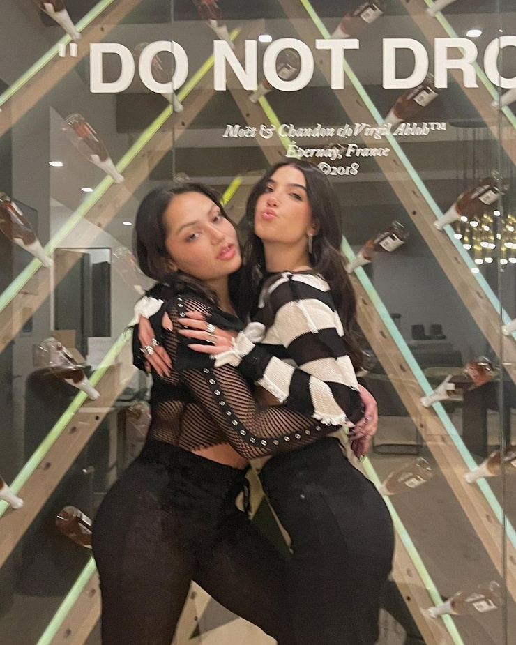 Image of Charli D'Amelio