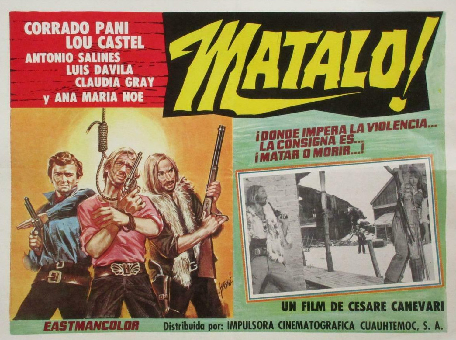 Picture of Matalo!