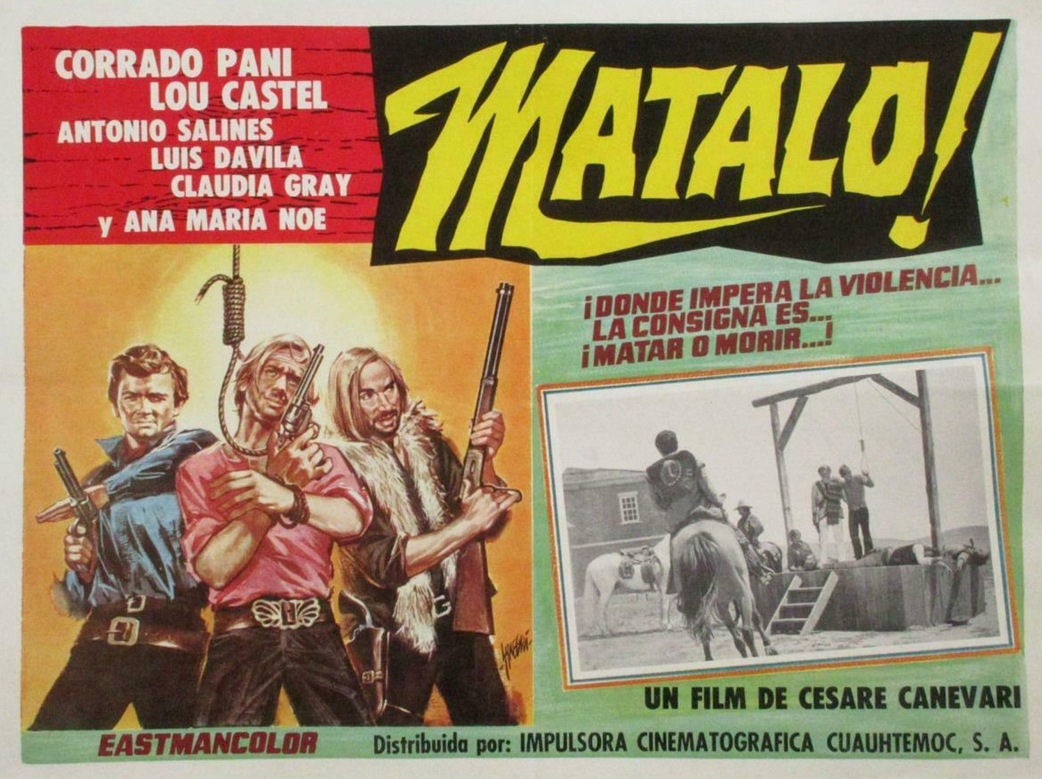 Picture of Matalo!