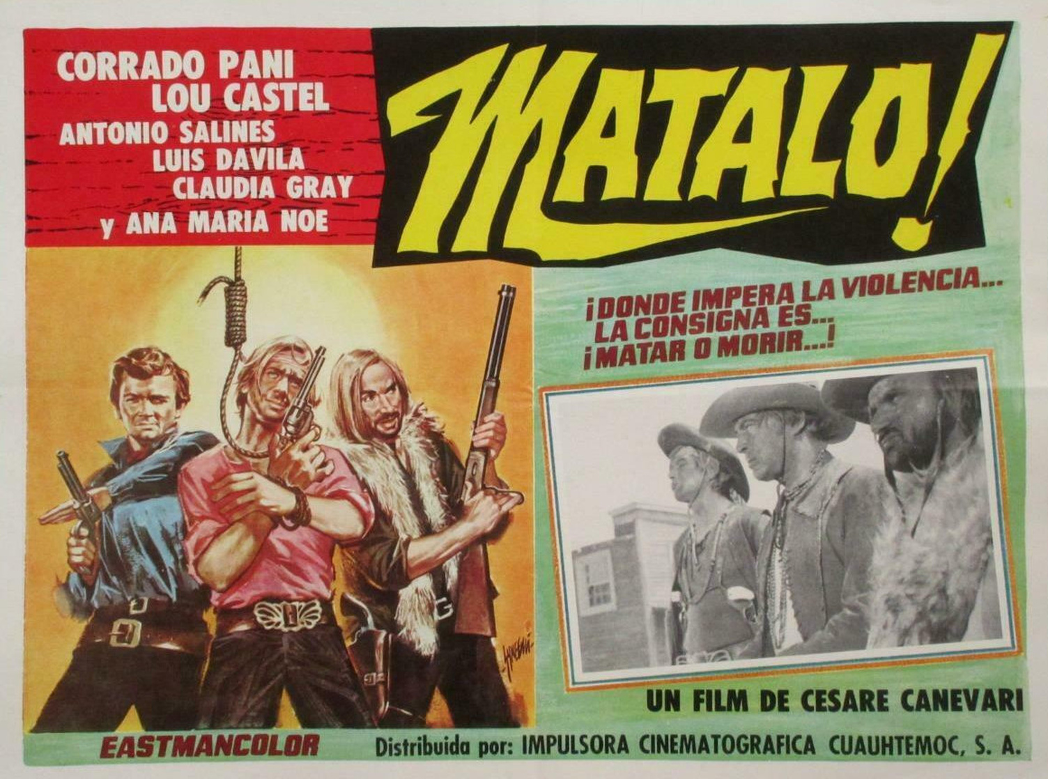 Picture of Matalo!