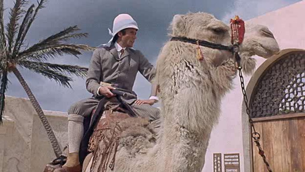 Picture of Follow That Camel