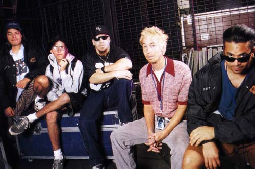 Picture of Infectious Grooves