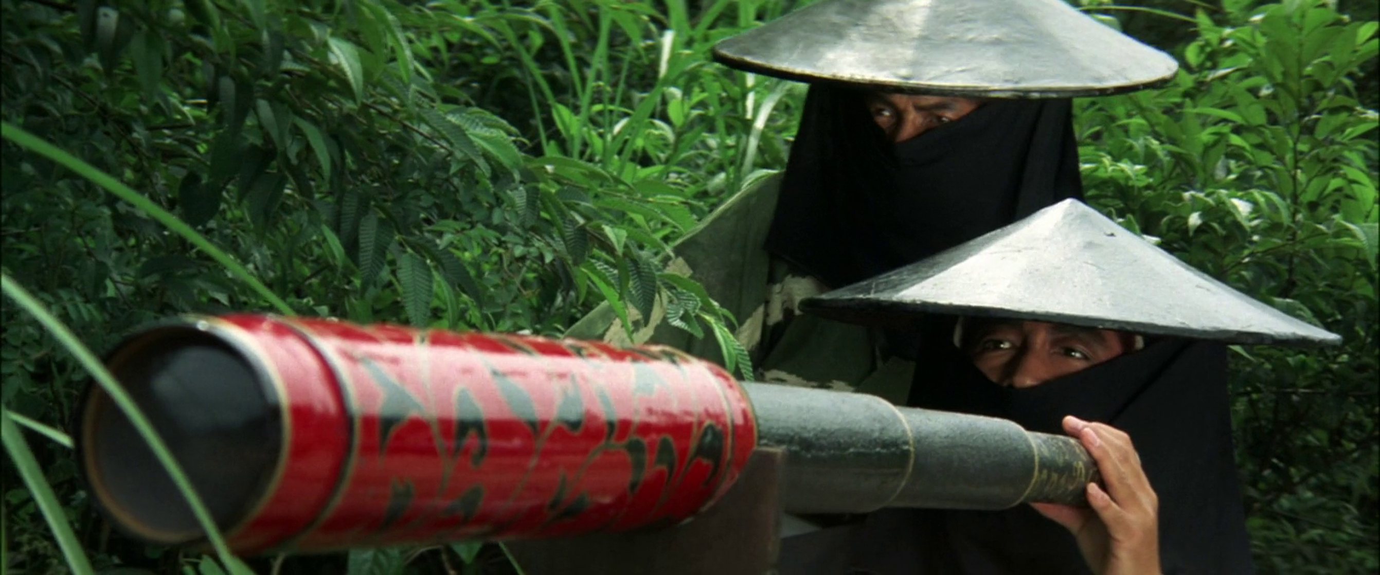 Picture of The Shogun Assassins