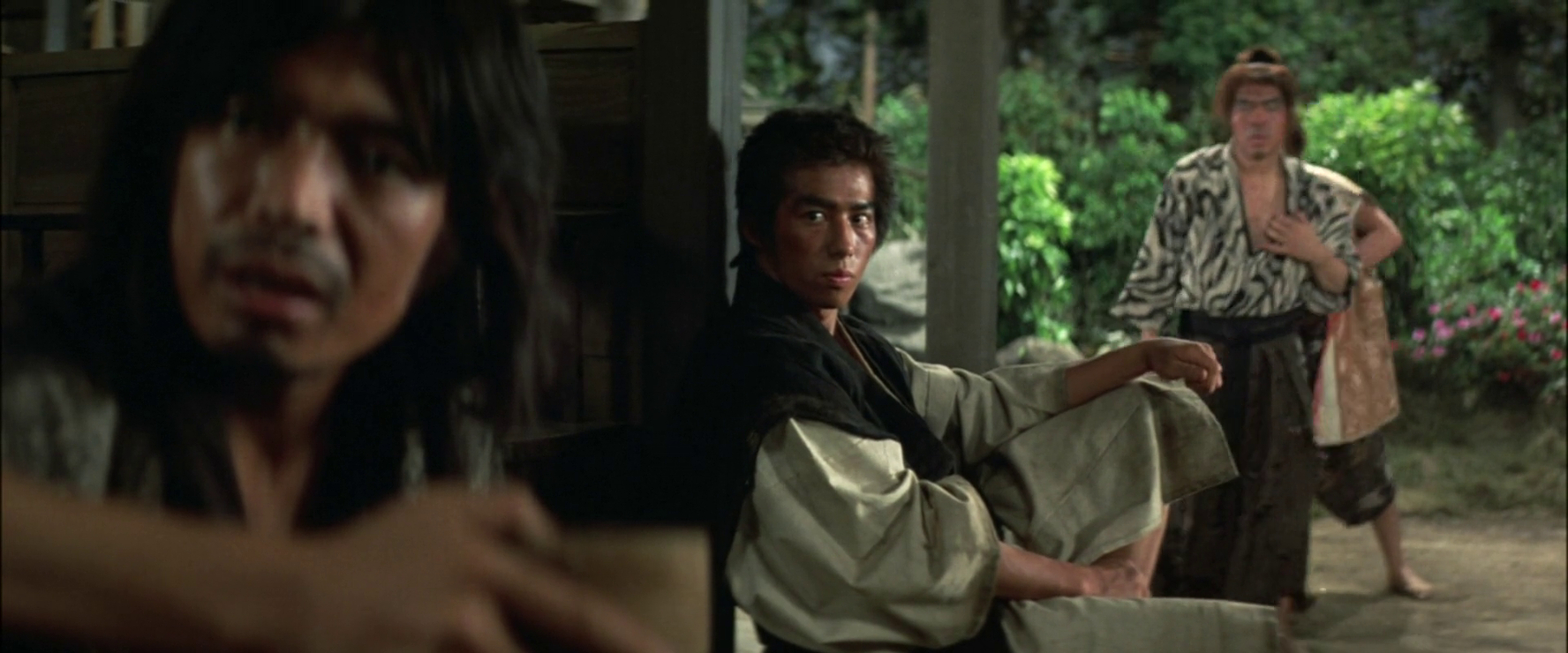 Picture of The Shogun Assassins