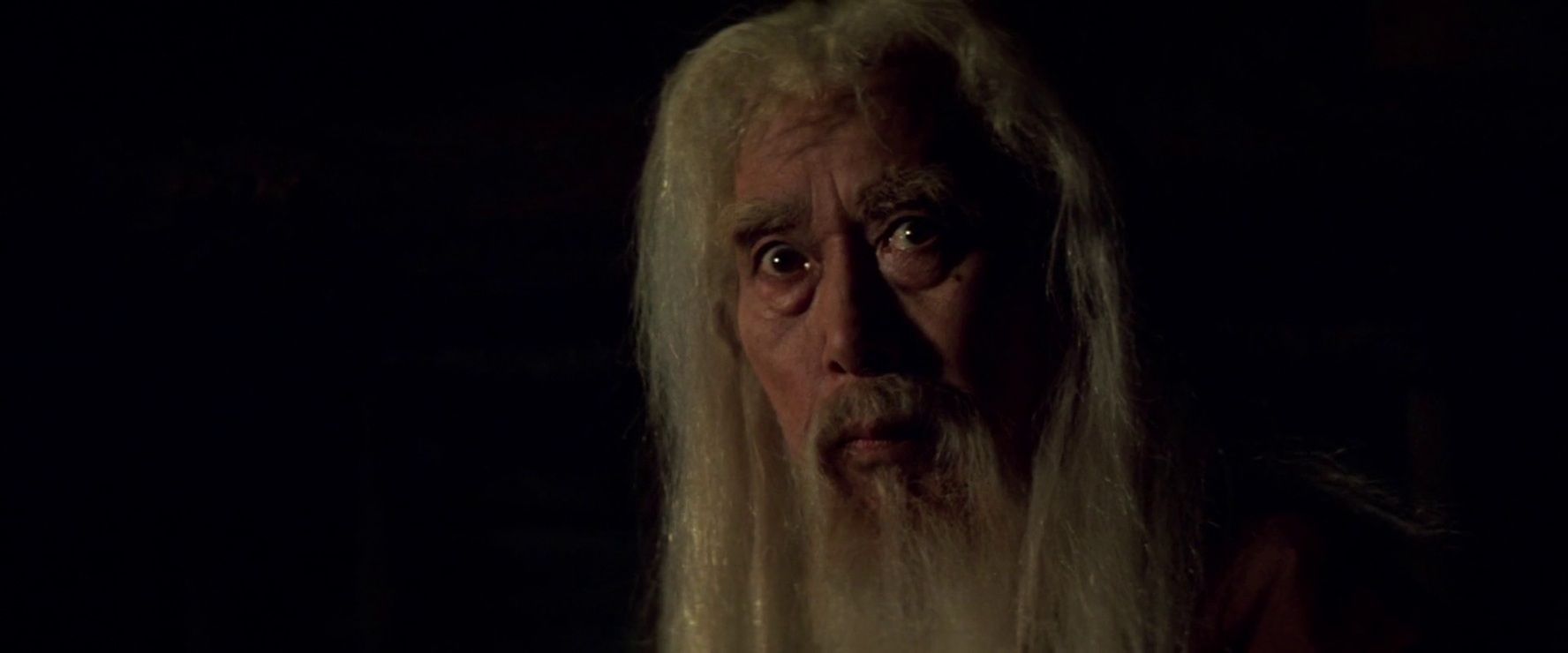 Picture of The Shogun Assassins