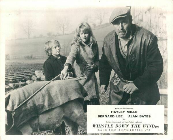 Image of Whistle Down the Wind