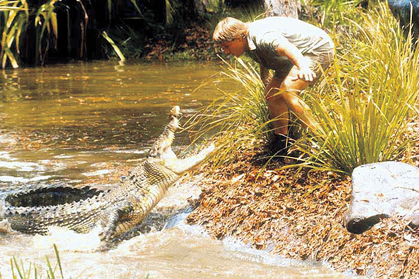 Picture of Crocodile Hunter