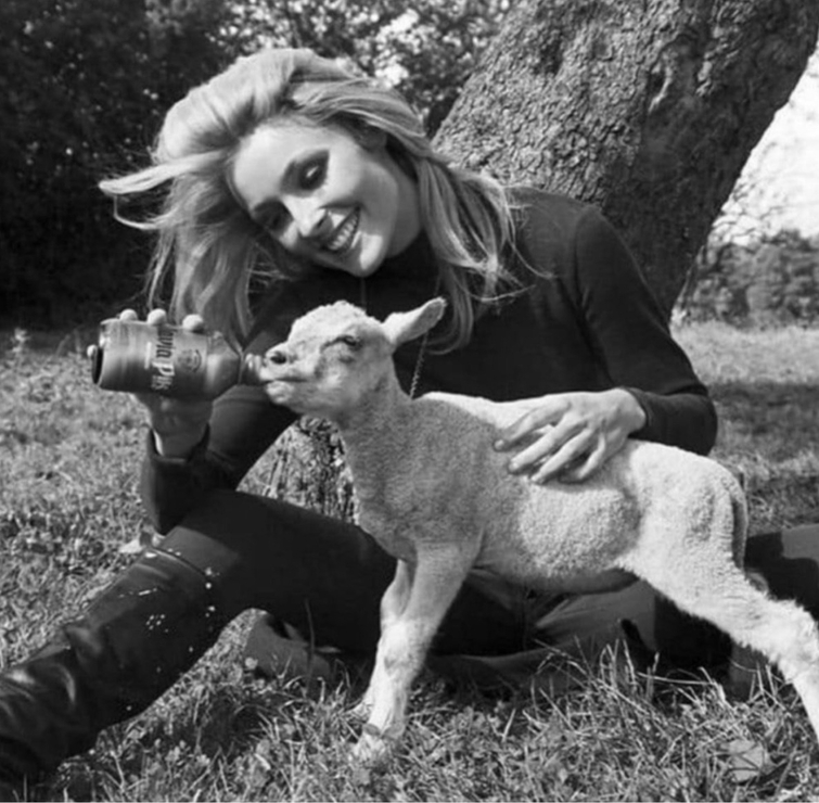 Picture of Sharon Tate