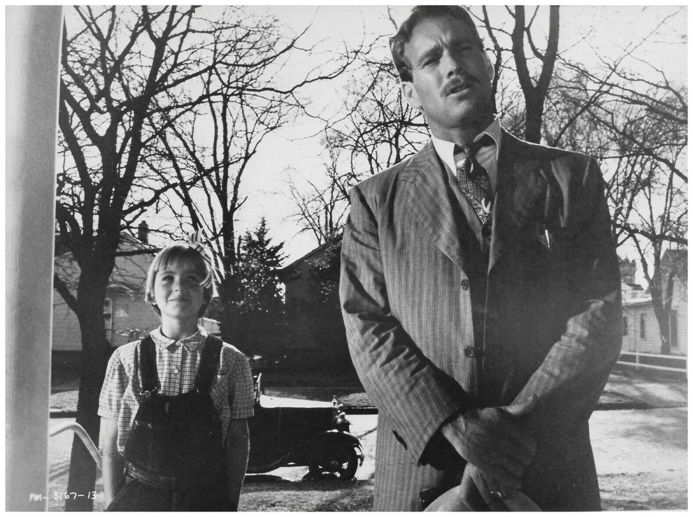 Picture of Paper Moon