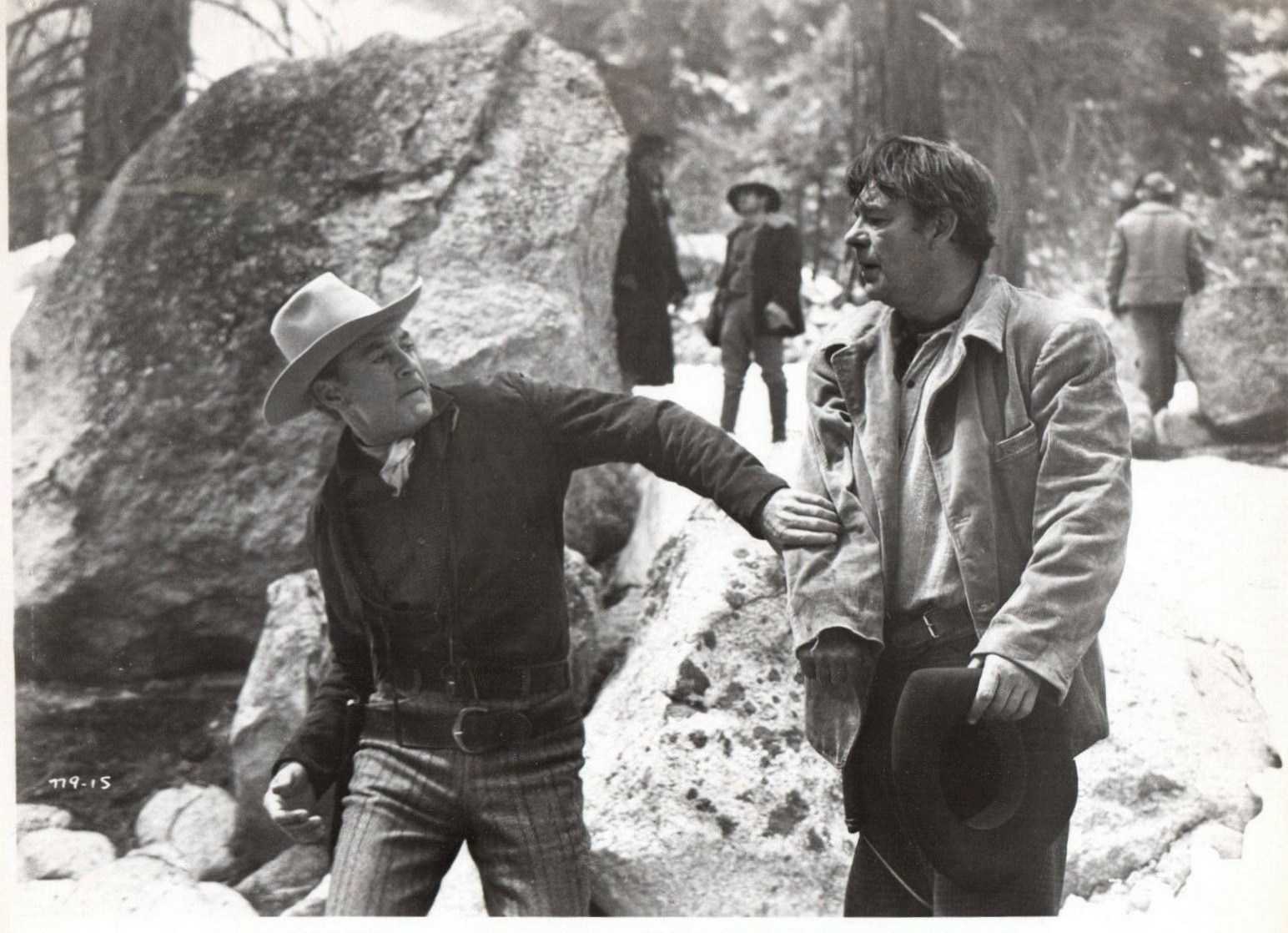 Picture of Springfield Rifle