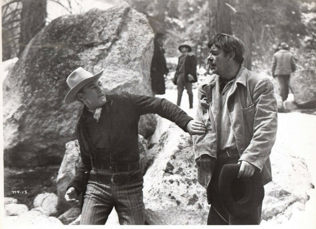 Picture of Springfield Rifle