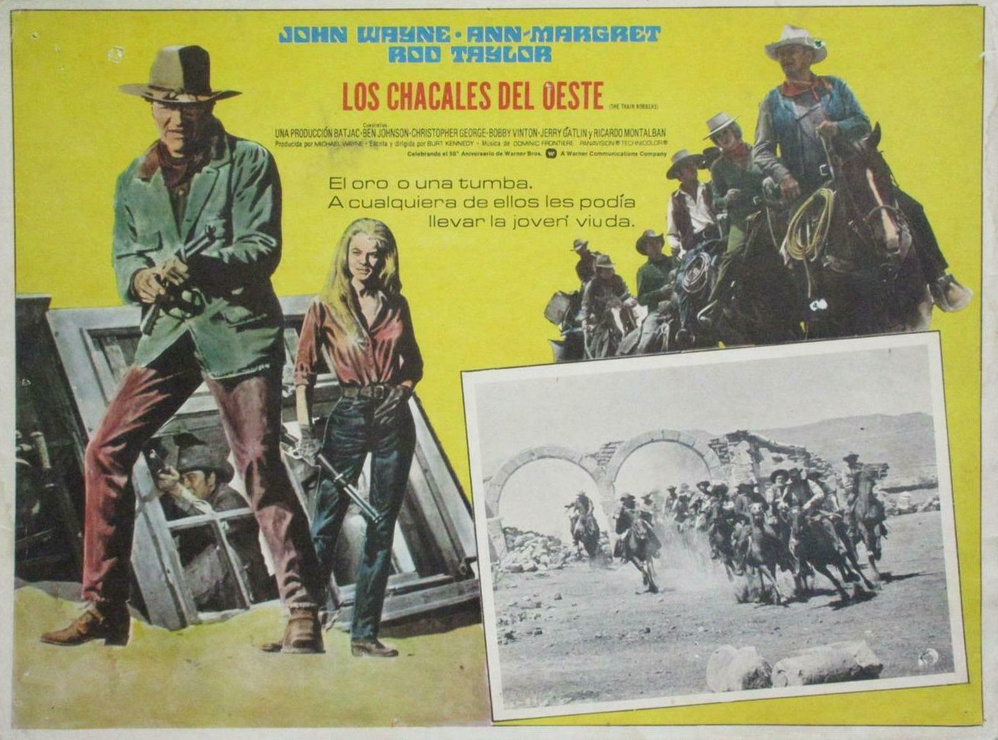 The Train Robbers image