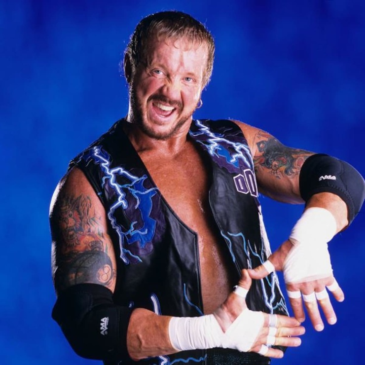 Diamond Dallas Page image