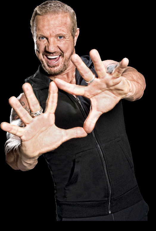 Diamond Dallas Page image