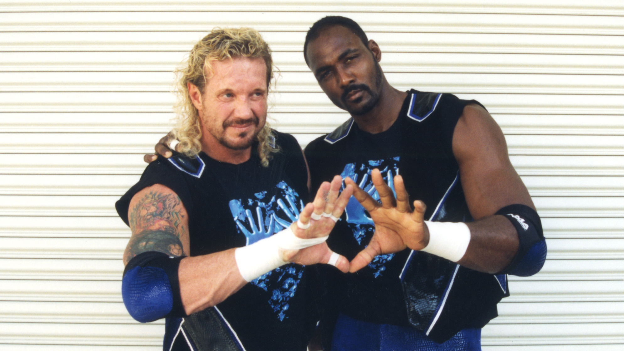 Picture of Diamond Dallas Page