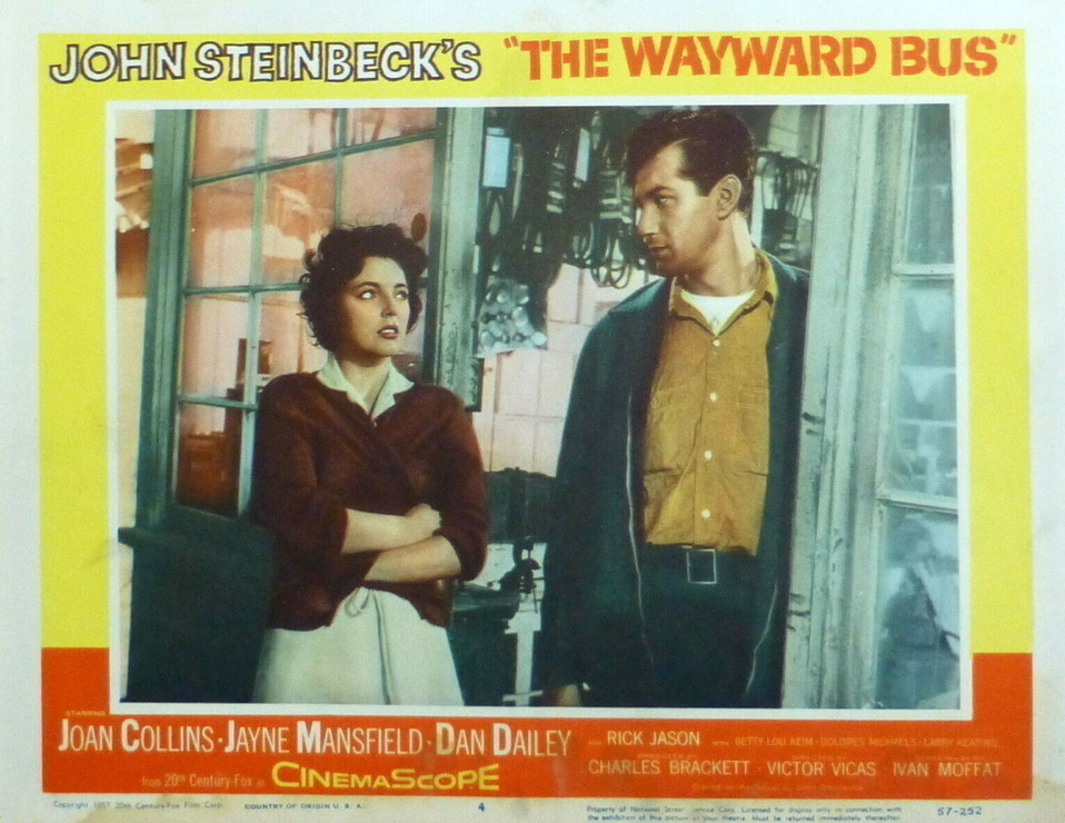 Picture of The Wayward Bus