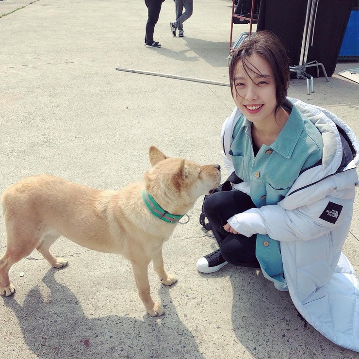 Picture of Min-Si Go