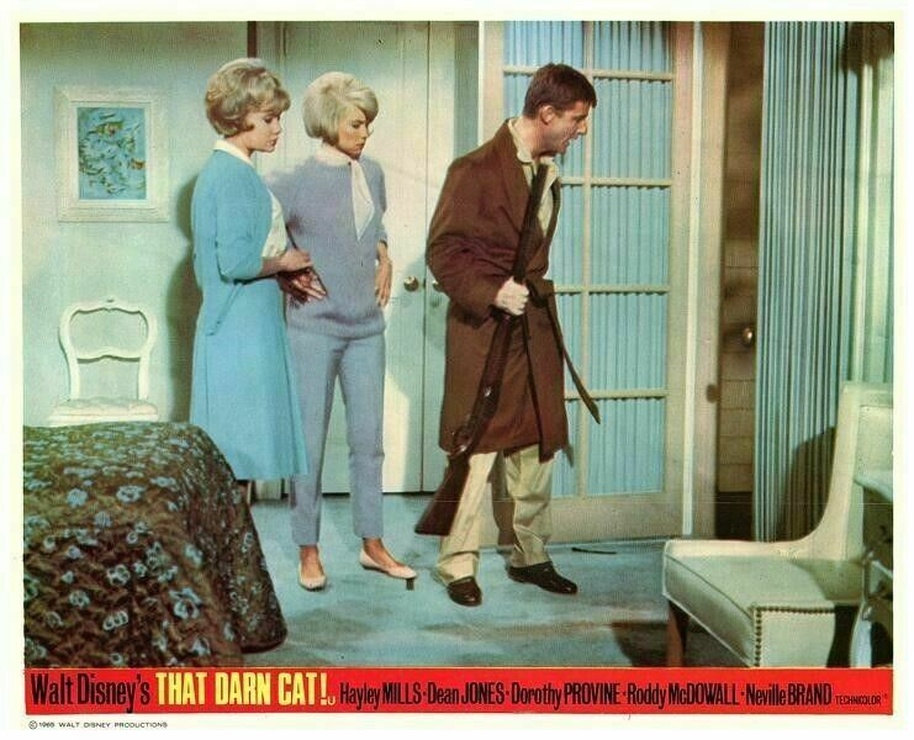 Picture of That Darn Cat!