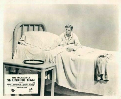 The Incredible Shrinking Man picture