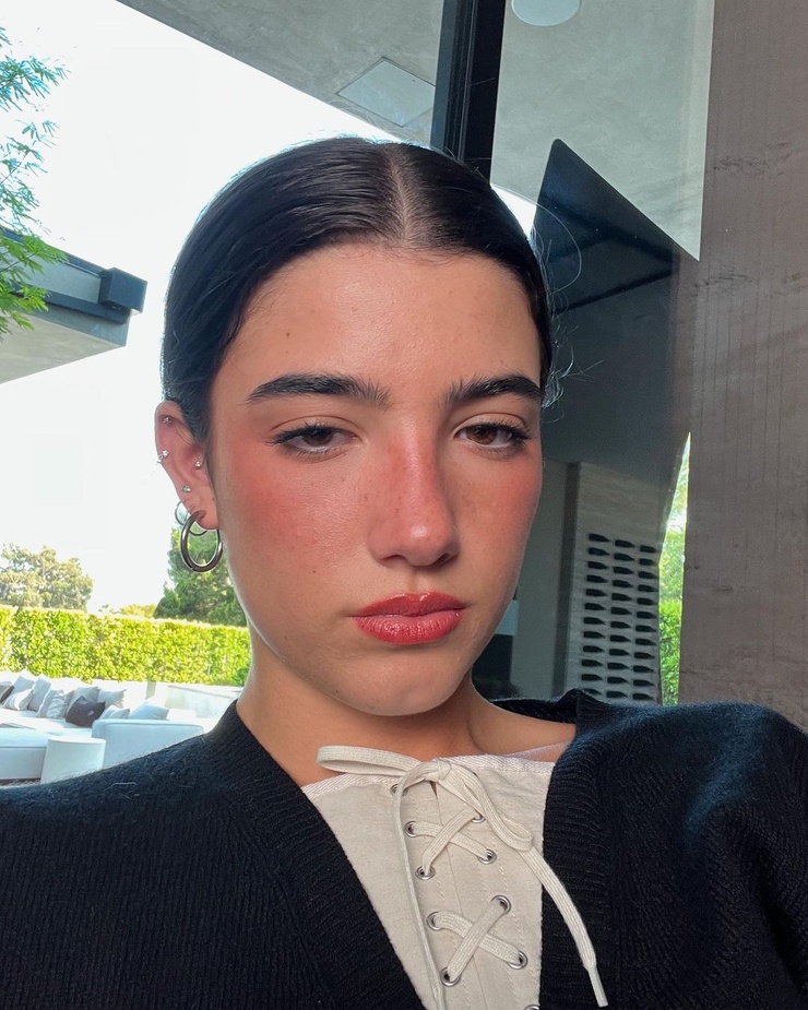 Picture of Charli D'Amelio